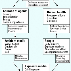 Conceptual framework to represent relationships between environmental ...