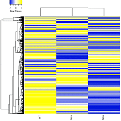 Clustering analysis of gene abundance estimation using Heatmaps based ...