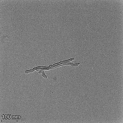 TEM images and characterization