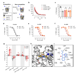 Figure2_final_R1_v2.pdf