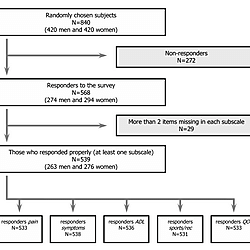 Flow chart that details the study procedure and formation of the ...