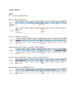 Extended Fig. 2 - Synteny Analysis Data