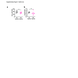 supplemental figure.tif