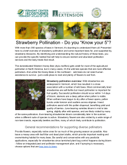 Know Your 5 - Strawberries