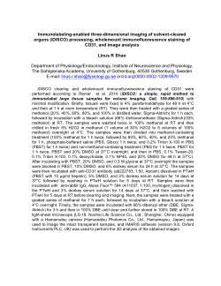 iDISCO processing, wholemount immunofluorescence staining of CD31, and ...