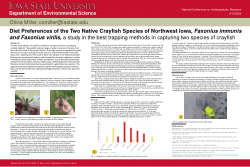 Diet Preferences of the Two Native Crayfish Species of Northwest Iowa ...