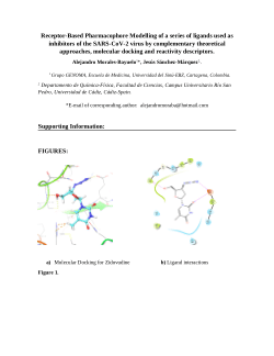 Supporting Information.docx