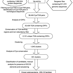 A schematic diagram of the search algorithm