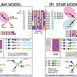 A schema of the LINK and STAR models: the LINK model is designed to find a subset of conditions ...