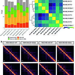 Figure 3. QC of Hi-C samples.