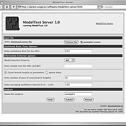 The web page for the ModelTest server, with the options used for the ...