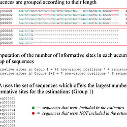Example showing the new algorithm for maximizing the number of ...