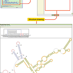 As input PseudoViewer can take the structure data in one of the three bracket views or in the ...
