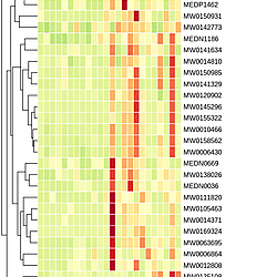 Non-targeted metabolomics analysis reveals distinct metabolic profiles ...