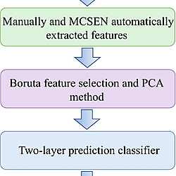 sORFPred: A Method Based on Comprehensive Features and Ensemble ...