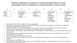 Workflow diagram.pptx