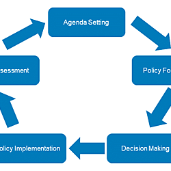 The Policy Cycle