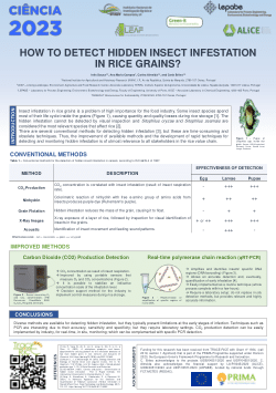 How to detect hidden insect infestation in rice grains?