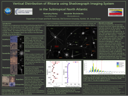 Vertical distribution of Rhizaria using a focused shadowgraph imaging system in the subtropical ...