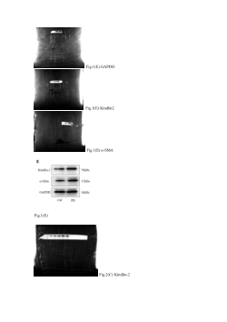 Figures and original WB