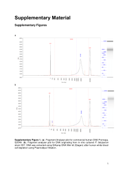 Supplementary Material
