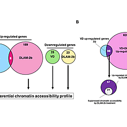 Figure 6 PLOS ONE