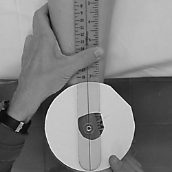 Reliability of two goniometric methods of measuring active inversion ...