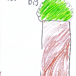 Seven Principles of DELTA - Reading and Writing