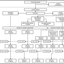 Study overview: flow chart representing the patient flow throughout the ...