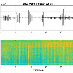 Acoustic Signature Database for Cetacean in Taiwan Eastern Maritime ...