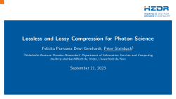 Lossless and Lossy Compression for Photon Science