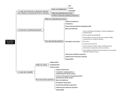 Mapa conceptual - Programa Analítico.pdf