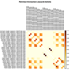 CUT&RUN evaluation graphs