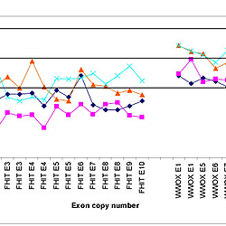 Graphic representation of and exon copy number in four primary ESCC tumors