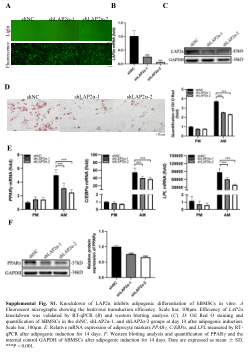 Supplemental Figure S1