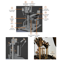 Behavioural training rig and ephys rig for visual navigation