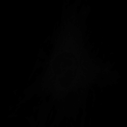 mfRFPs- Two signal unmixing raw image for GitHub algorithm.