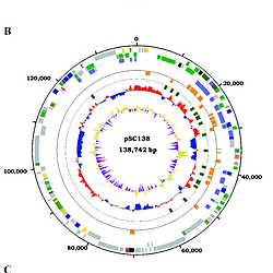 Circular representation of the