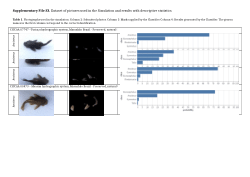 Dataset of pictures used in the Simulation and results with descriptive ...
