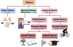 Types of memory