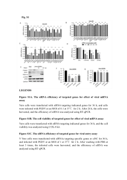 Supplementary materials