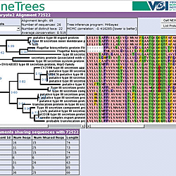 An example of the central tree plus alignment visualization from GeneTrees