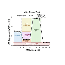 Supplemental Figures