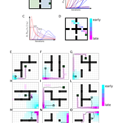 Figure 1: Path Gradient Planning - Replays