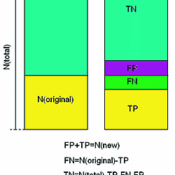 The schematic presentation of TP, FP, TN and FN