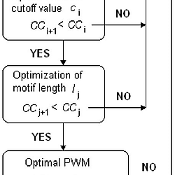 The flowchart of optimization process