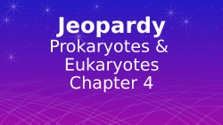 Jeopardy · Prokaryotes and Eukaryotes.pptx