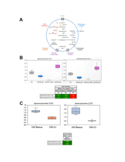 Supplemental Figure 3