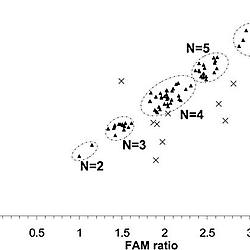 Comparison of ratios (chromosome 8: chromosome 5) from FAM- and HEX ...