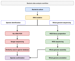 Data analysis workflow used for whole genome sequencing of bacterial ...